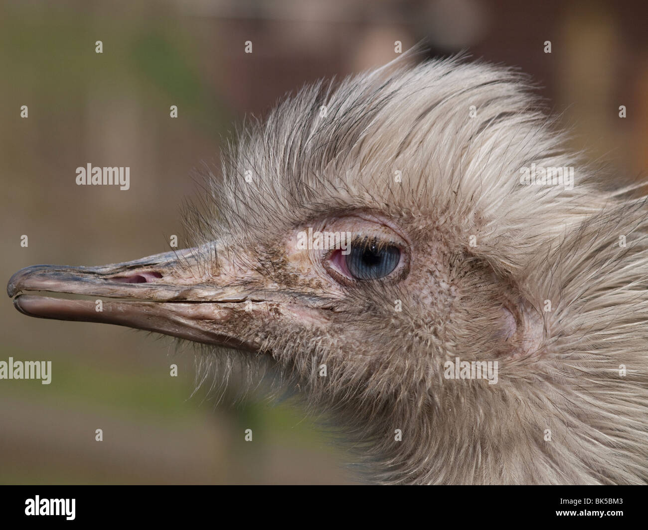 Nottingham white post farm hi-res stock photography and images - Alamy