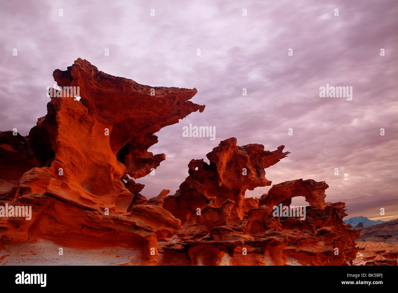 Eroded sandstone rock formations, Nevada, USA Stock Photo - Alamy