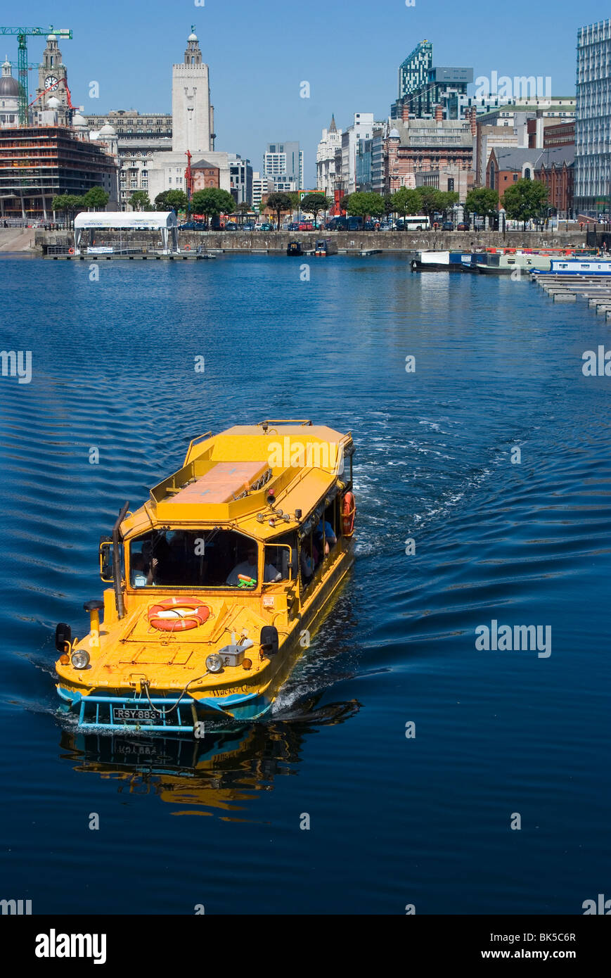 Duck amphibious hi-res stock photography and images - Alamy