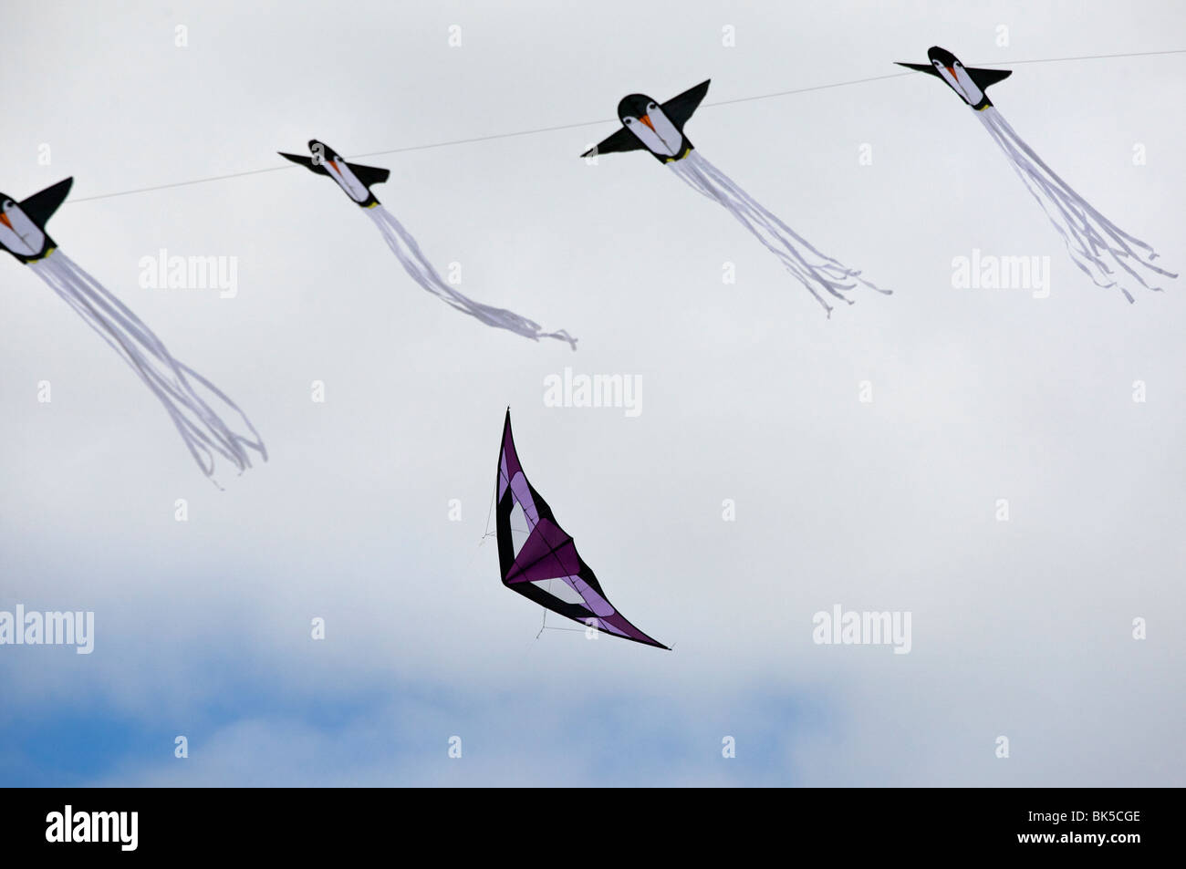 Kite with tails hi-res stock photography and images - Alamy