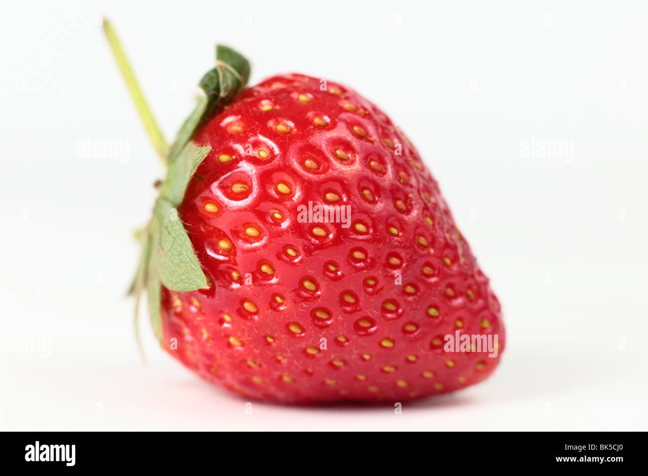 A close up of a single strawberry. Very narrow depth of field with the ...