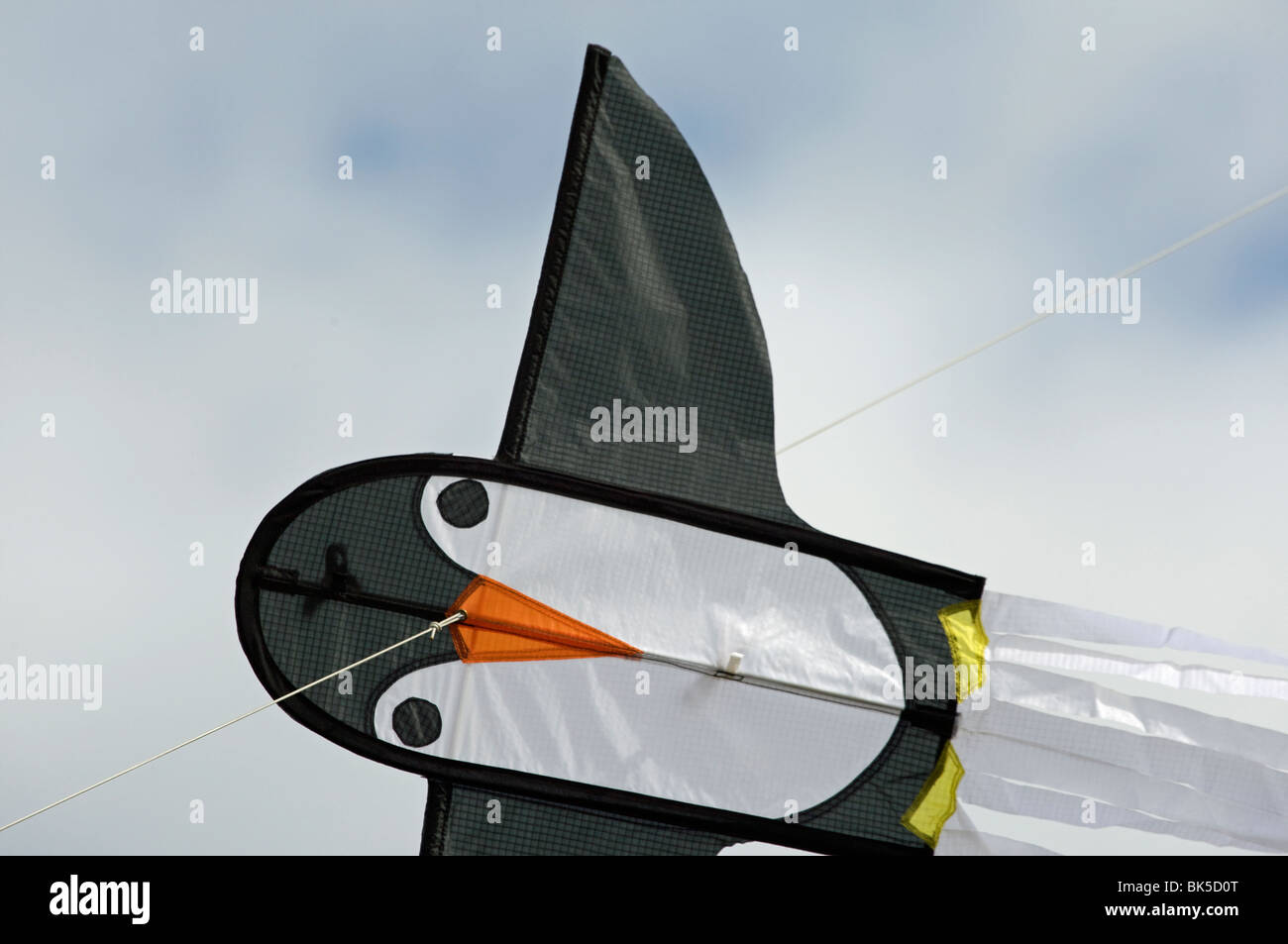 Flying penguin hi-res stock photography and images - Alamy