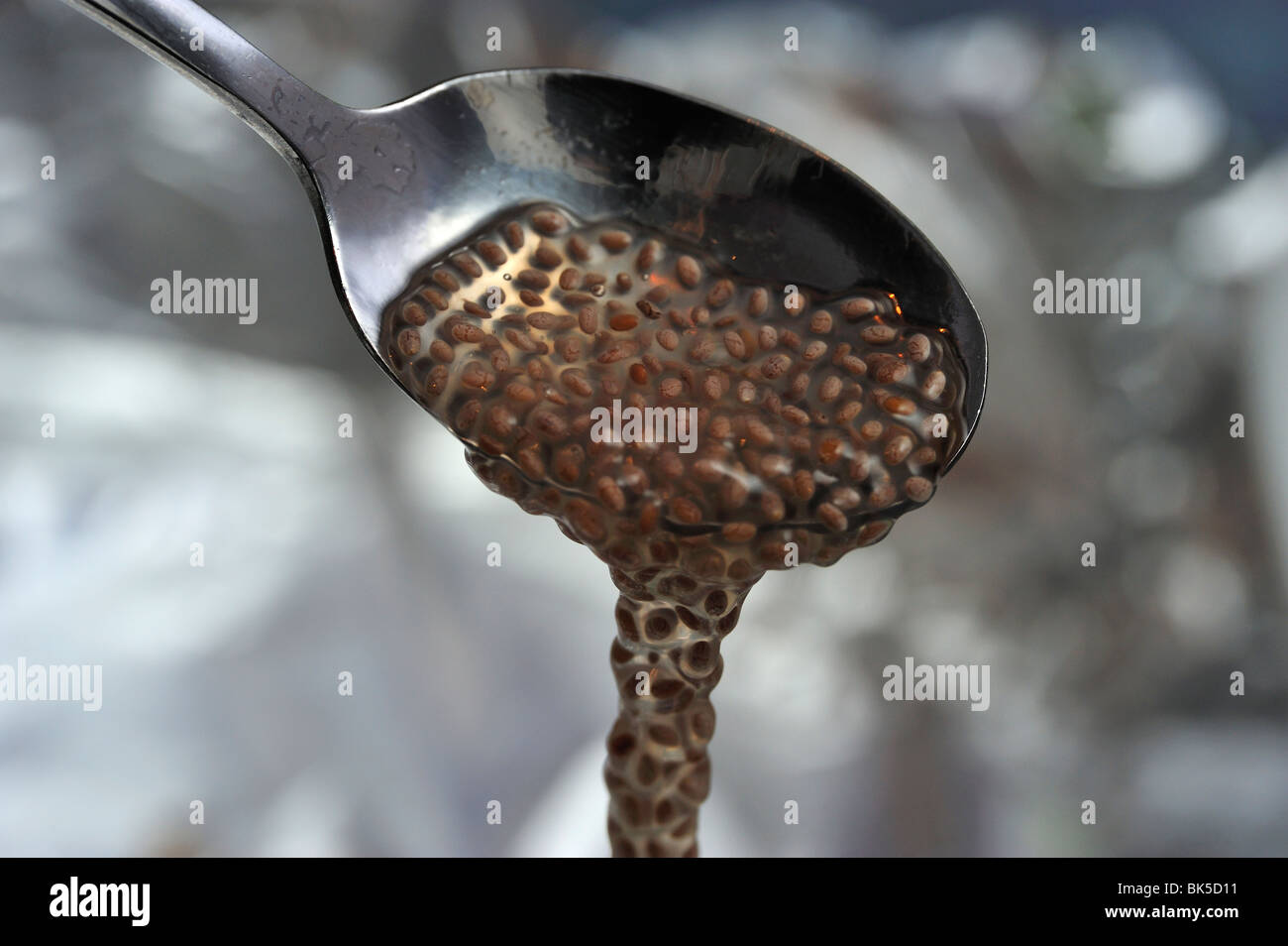 Salba ( Salvia hispanica ) seeds dripping from spoon Stock Photo - Alamy