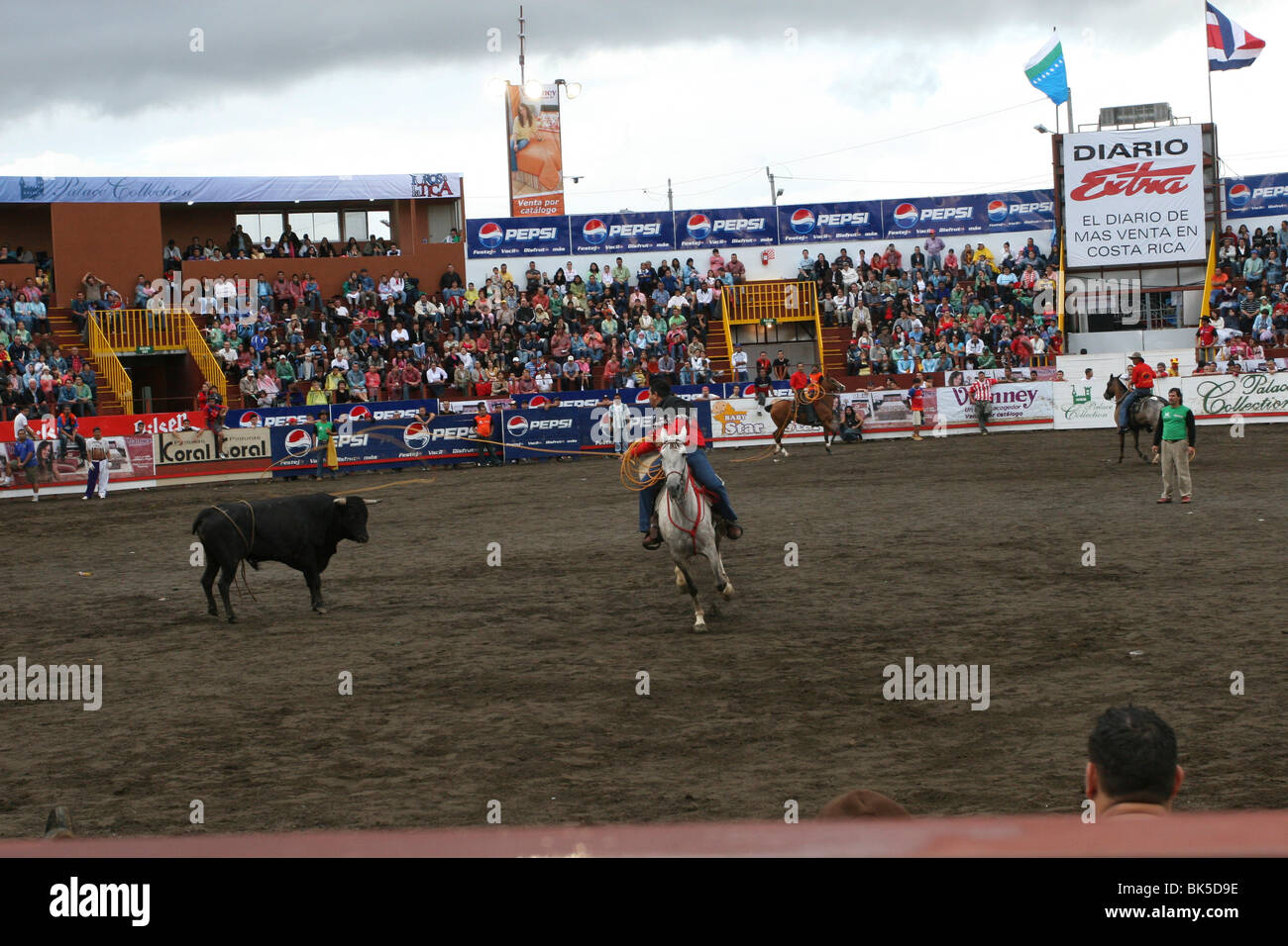 Bullfighter rodeo bull hi-res stock photography and images - Alamy