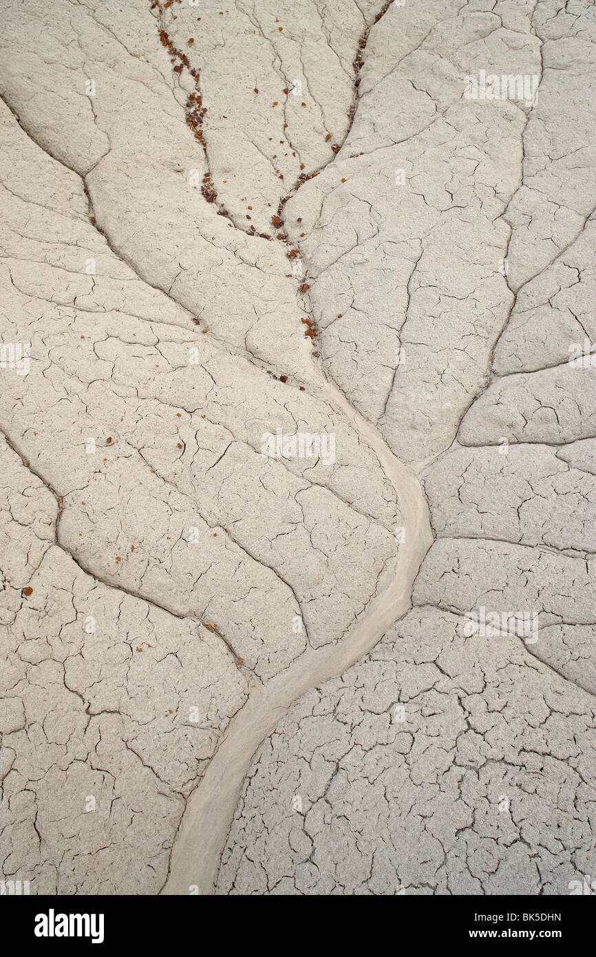 Erosion patterns in a small drainage, Bisti Wilderness, New Mexico ...