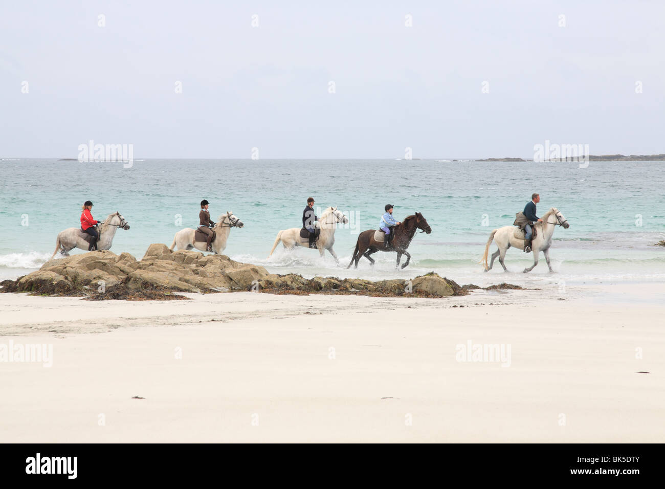 tourists riding Connemara Ponies at a beach in Ballyconneely during ...