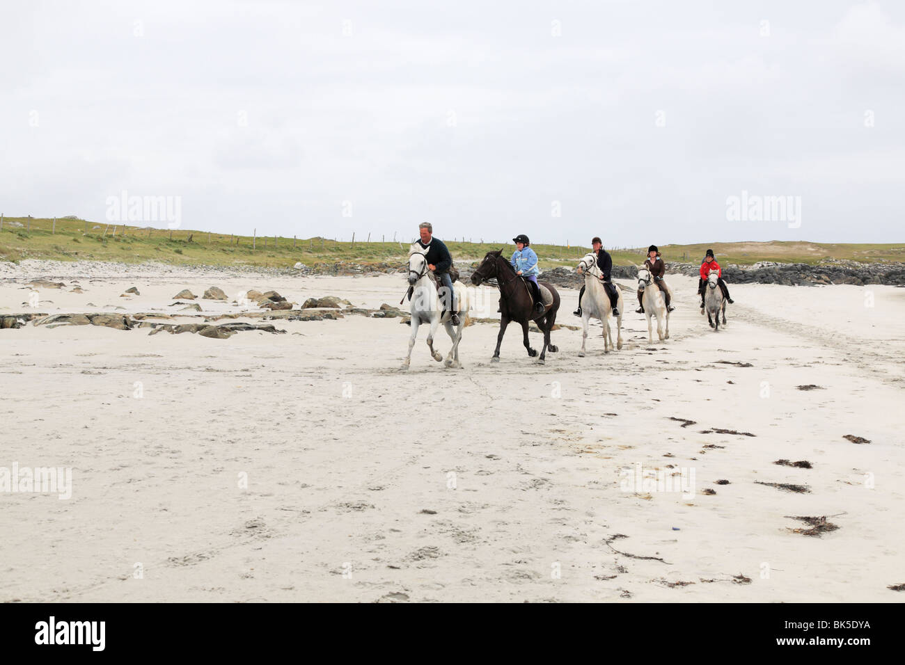 Connemara And Ireland And Horse High Resolution Stock Photography and ...