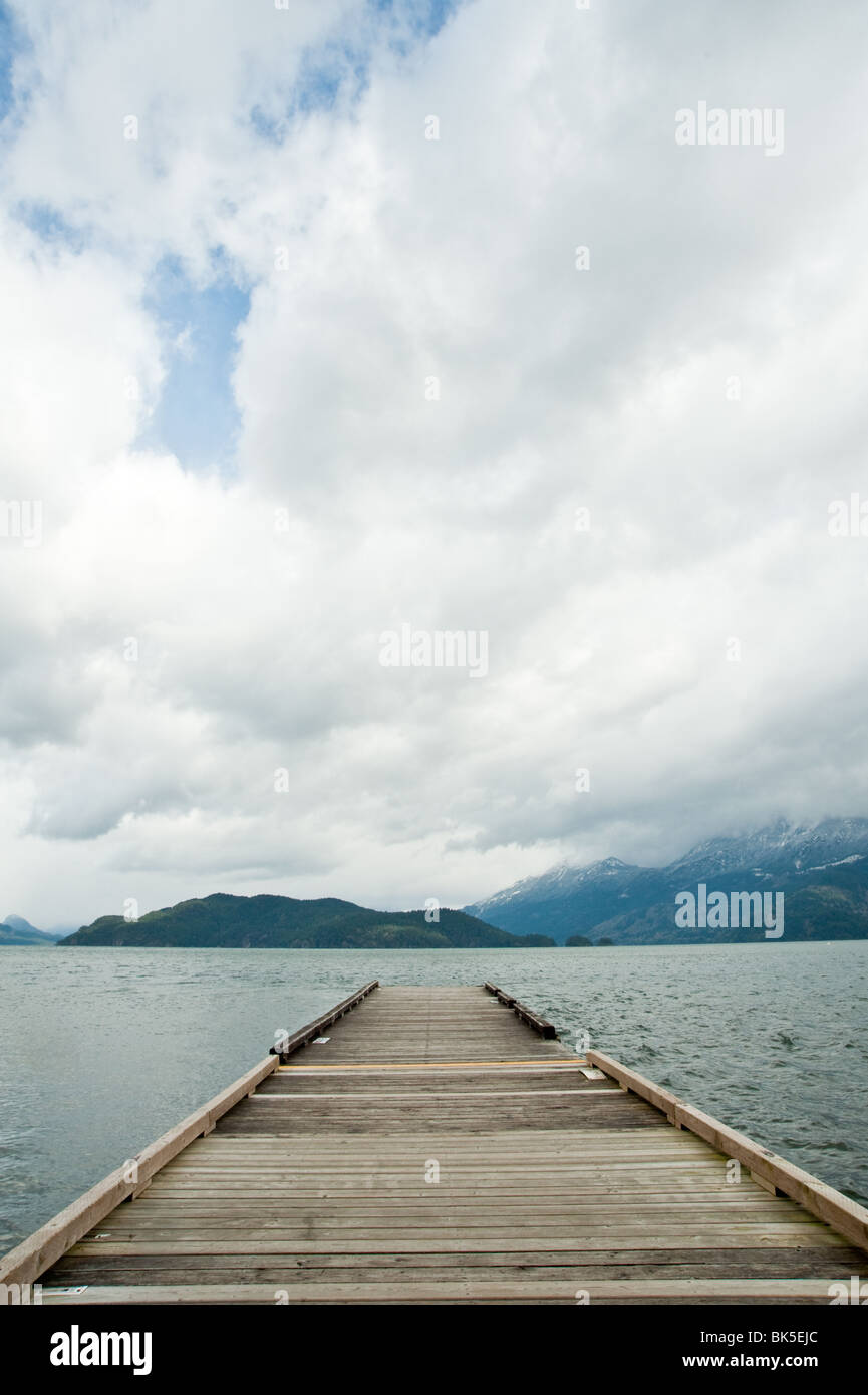 A vertical view of a wooden dock extended into the lake in a cloudy day ...
