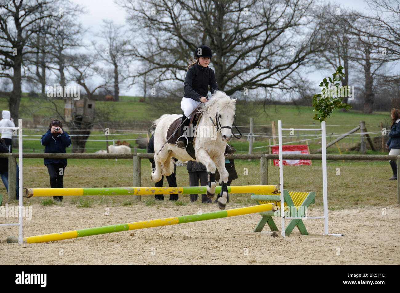 Stock photo of horses in a show jumping competition Stock Photo - Alamy