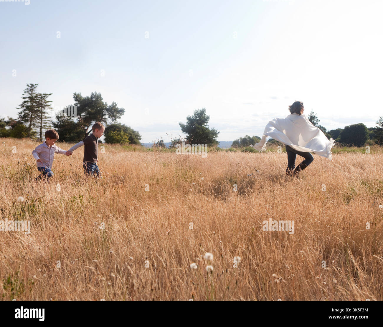 Brothers walking through field holding hands Stock Photo - Alamy