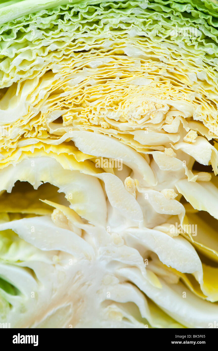 Cut cross section cabbage half sliced hi-res stock photography and ...