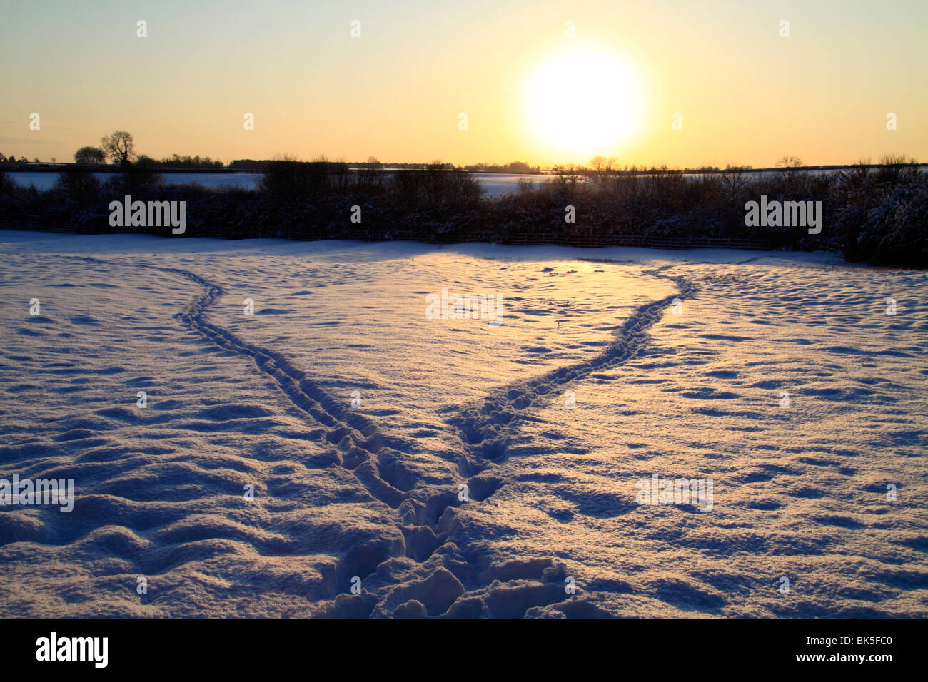 Sunset over Snow Tracks Stock Photo - Alamy