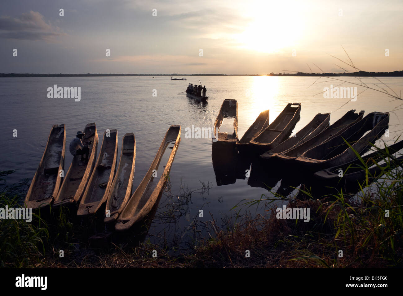 Dugout canoes (pirogues) on the Congo River, Yangambi, Democratic ...