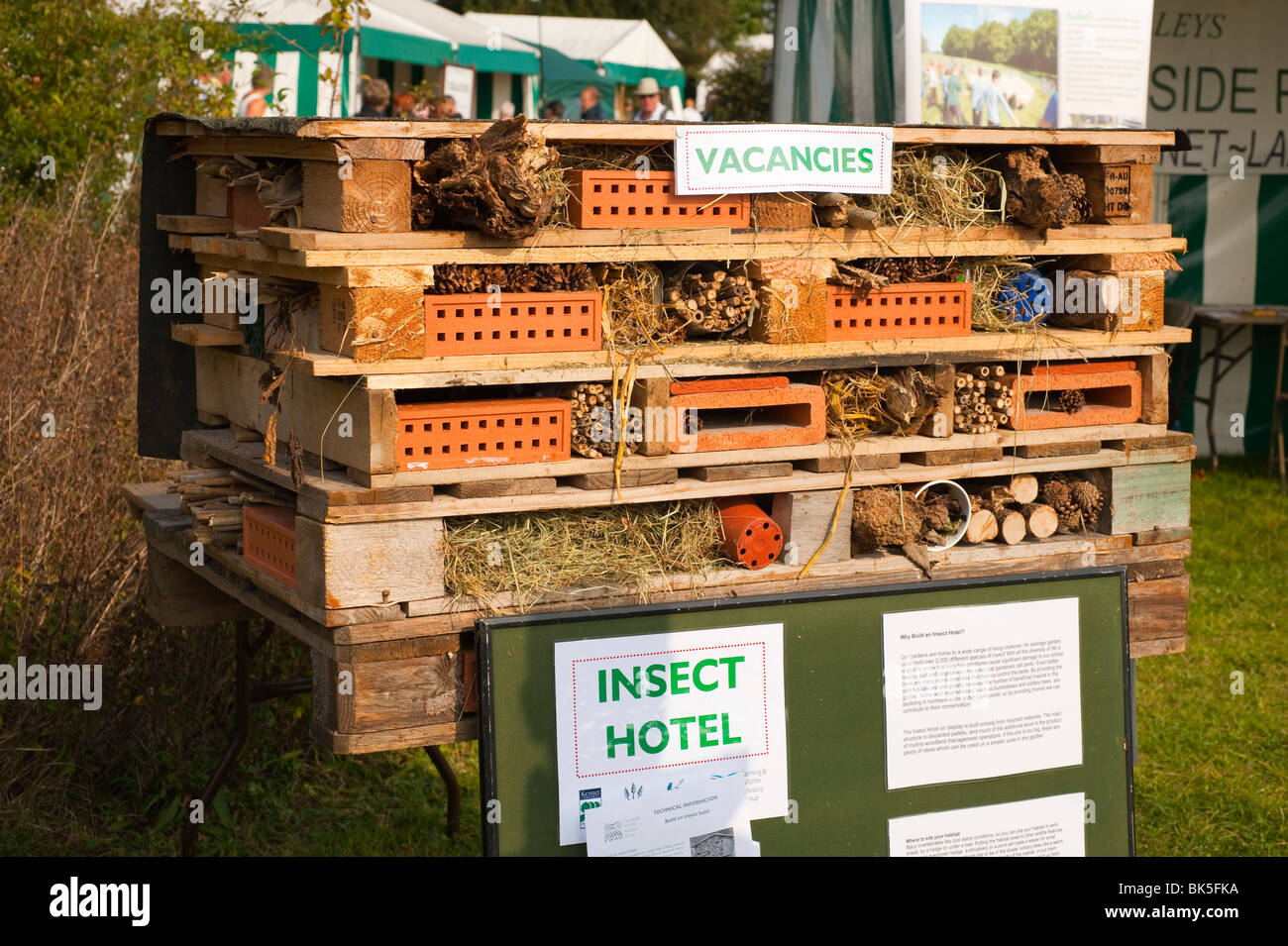 Insect Hotel Vacancies Stock Photo - Alamy