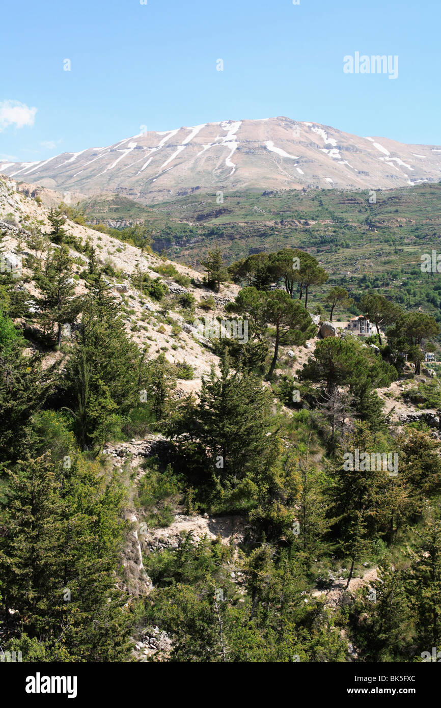 Qadisha valley lebanon hi-res stock photography and images - Alamy