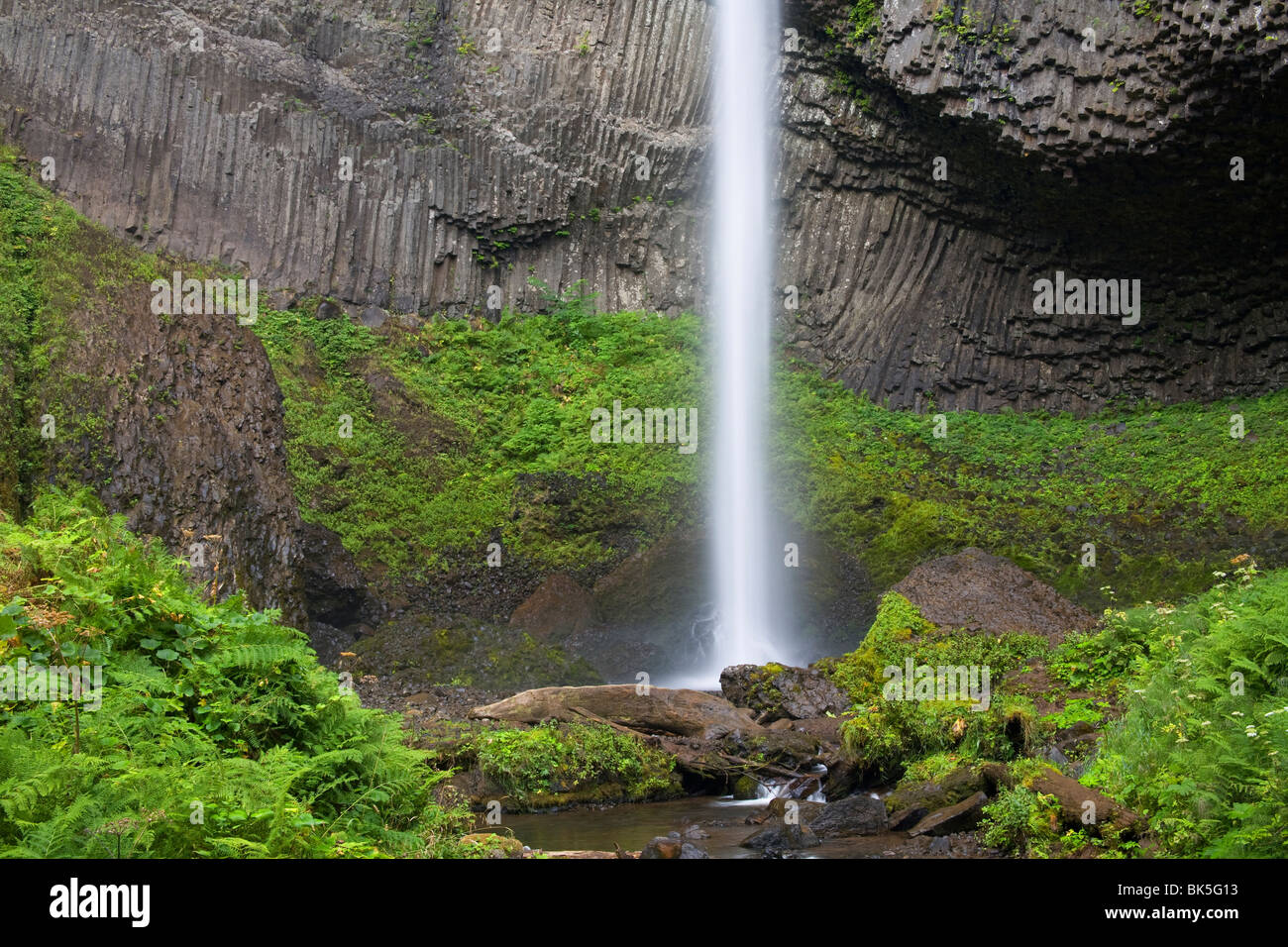 Waterfall in a forest, Latourell Falls, Columbia River Gorge, Portland ...