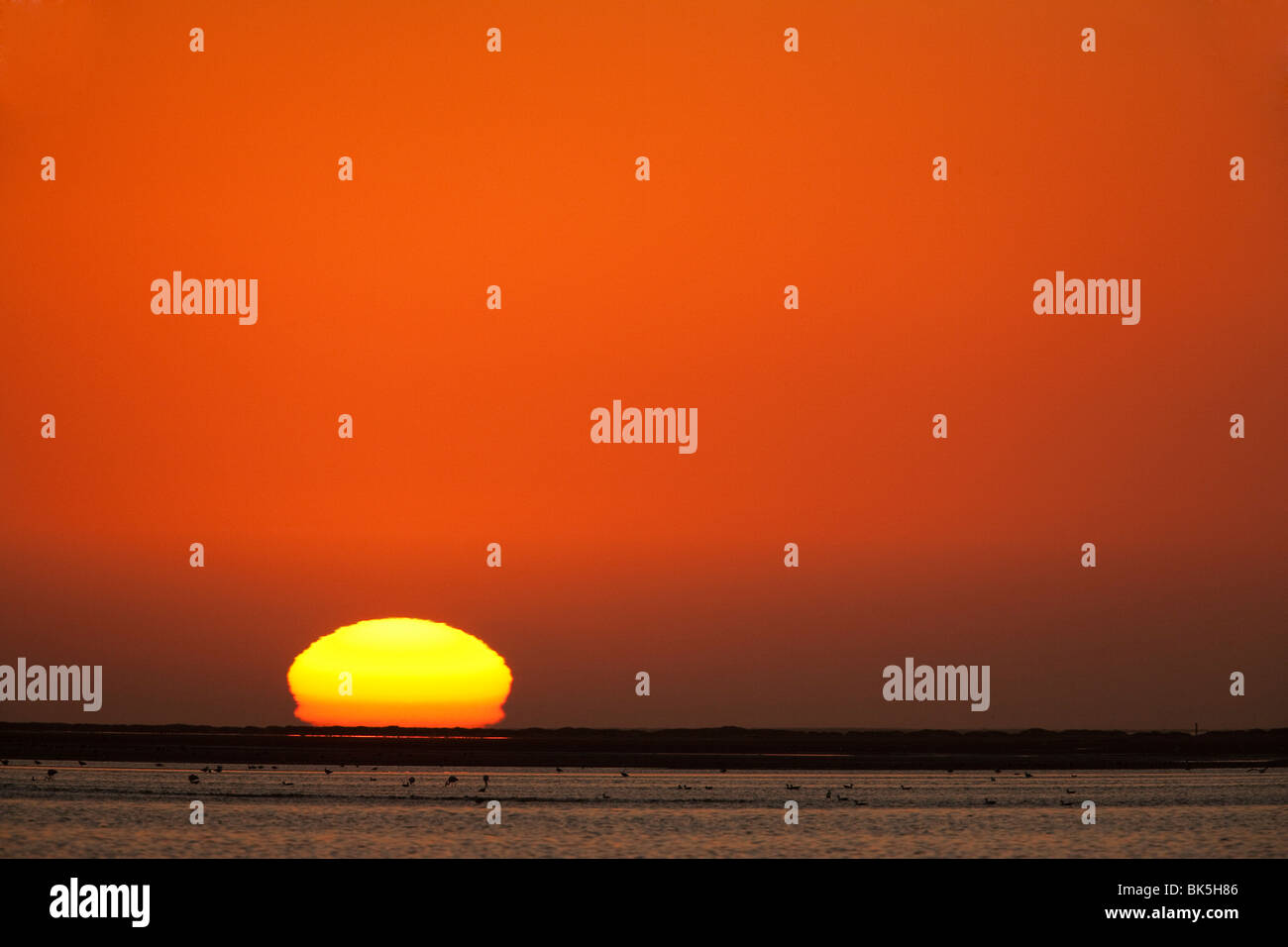 Sunset over Walvis Bay lagoon, Namibia, Africa Stock Photo - Alamy