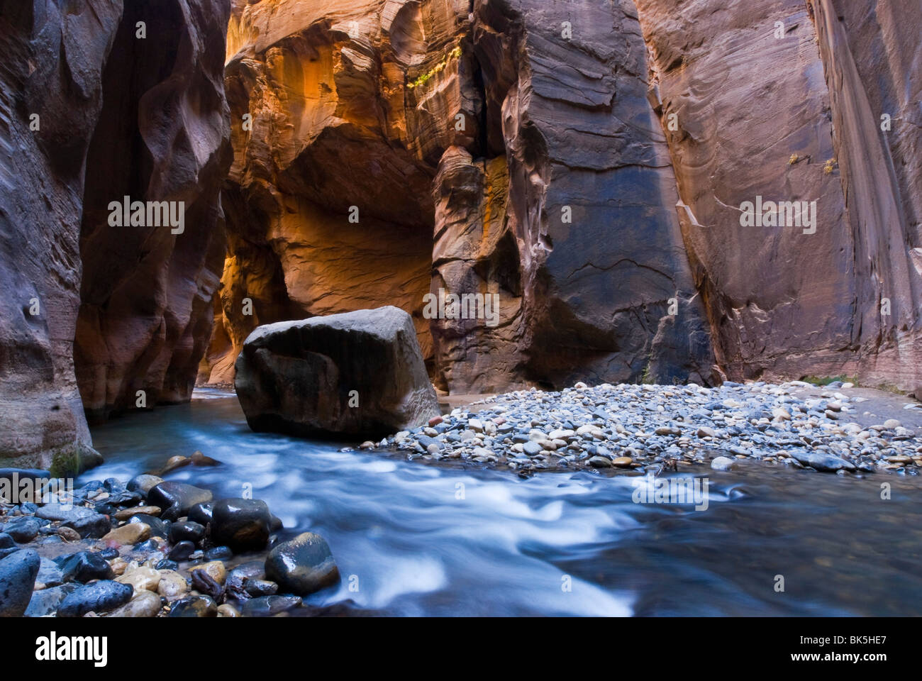 Zion National Park Narrows Virgin river Utah Stock Photo - Alamy