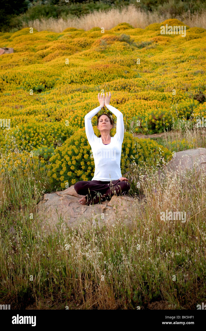 Rock in nature hi-res stock photography and images - Alamy