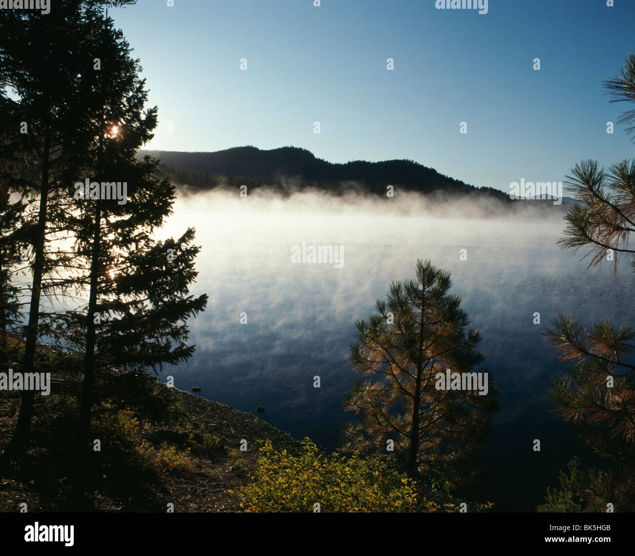 Bitterroot salish hi-res stock photography and images - Alamy