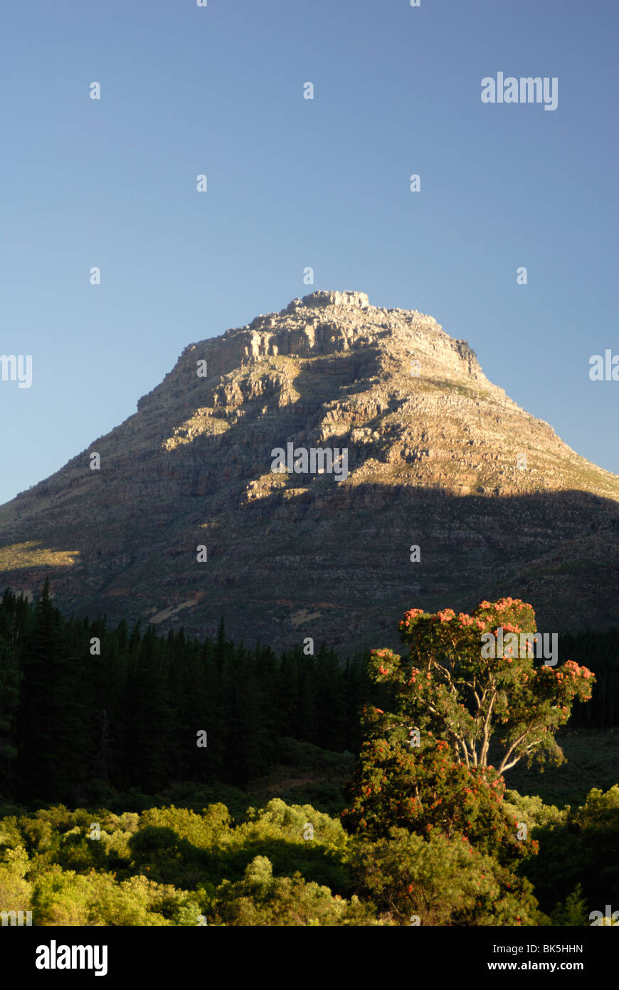 Cedarberg mountains hi-res stock photography and images - Alamy
