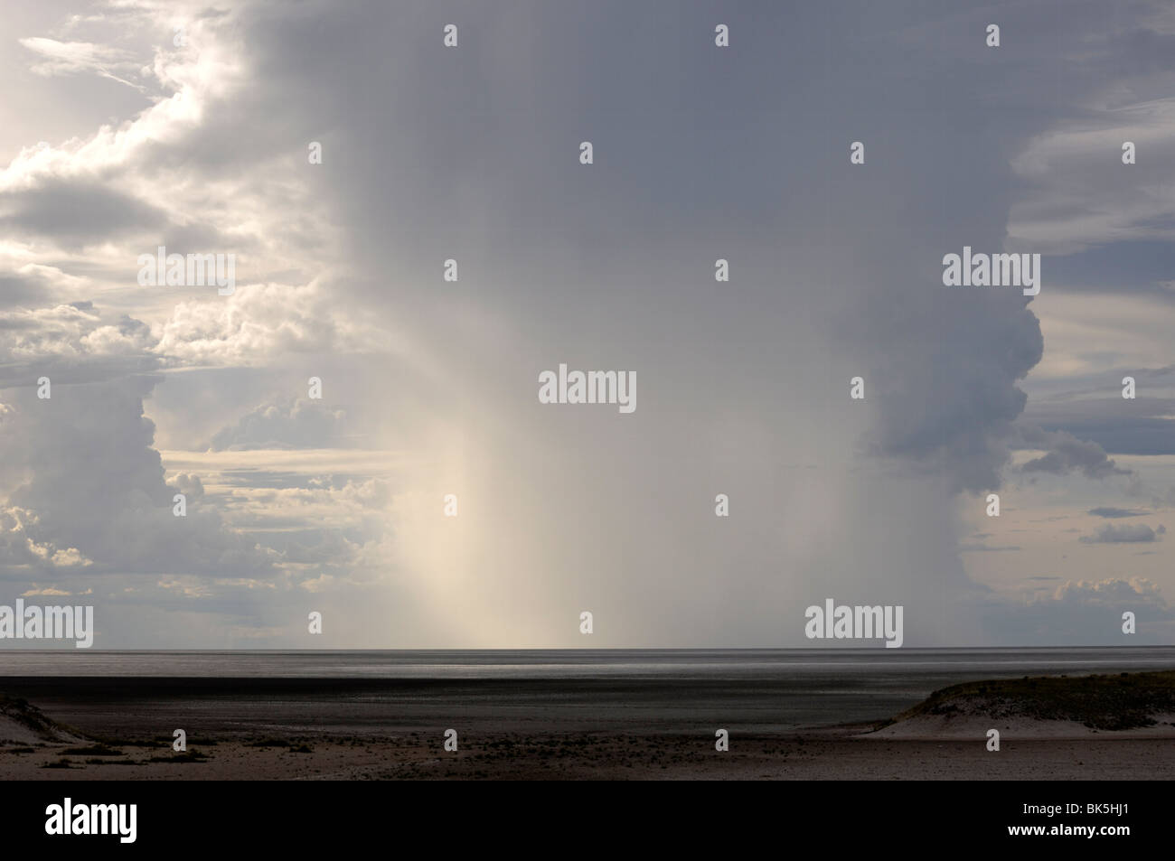 Heavy rain over Etosha National Park, Namibia, Africa Stock Photo - Alamy