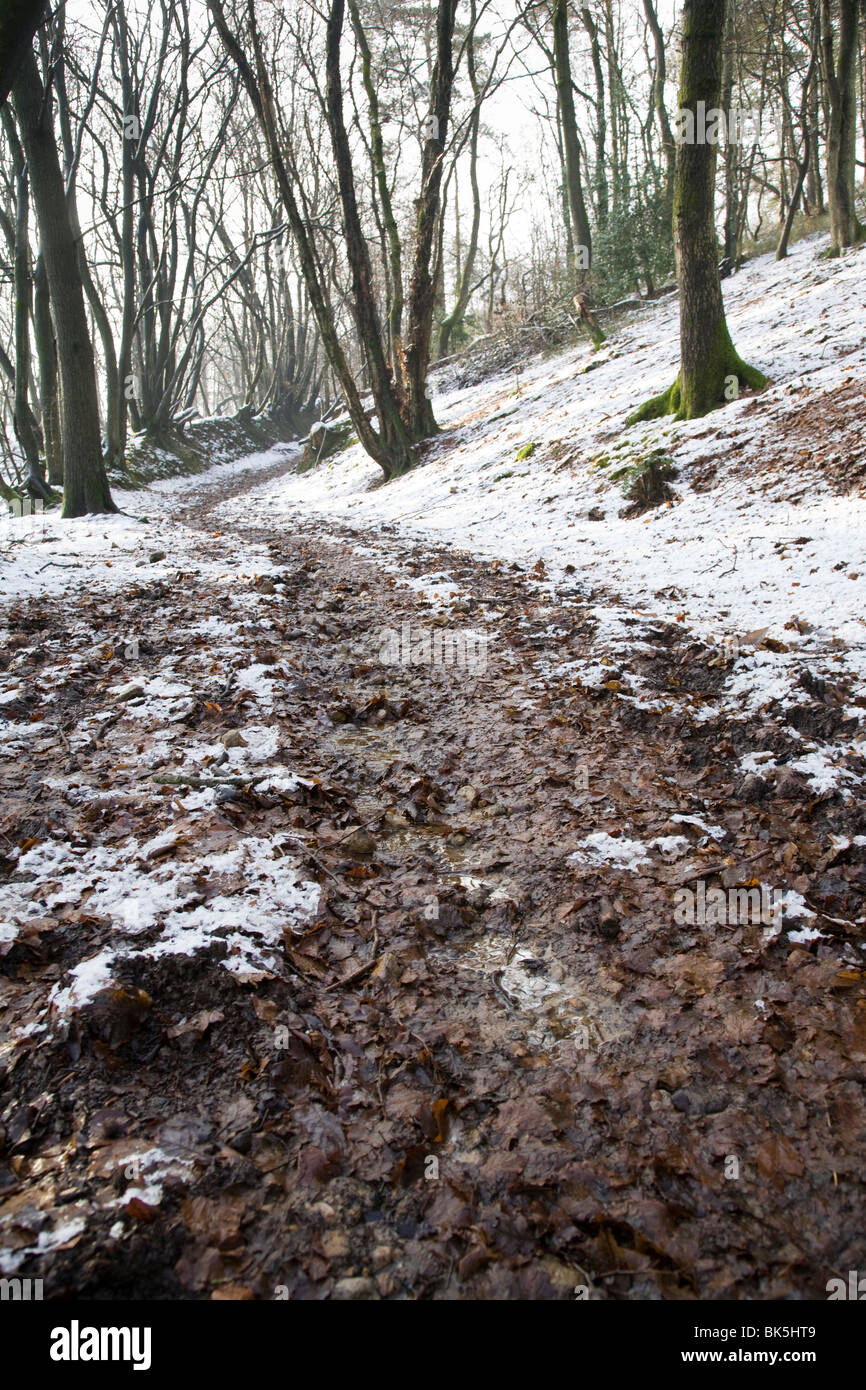 Snow covered track hi-res stock photography and images - Alamy