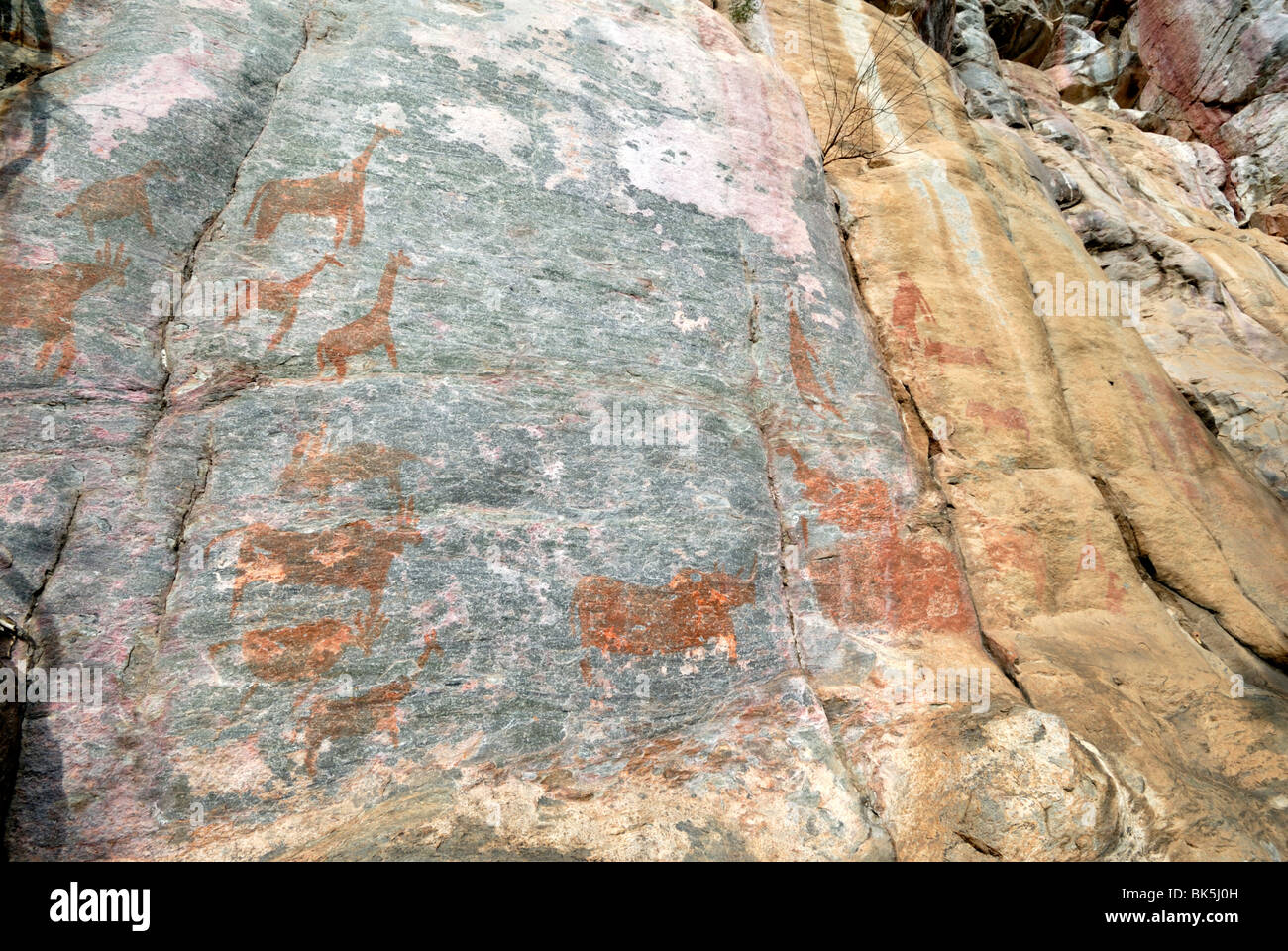 Rock paintings, Tsodilo Hills, UNESCO World Heritage Site, Botswana ...