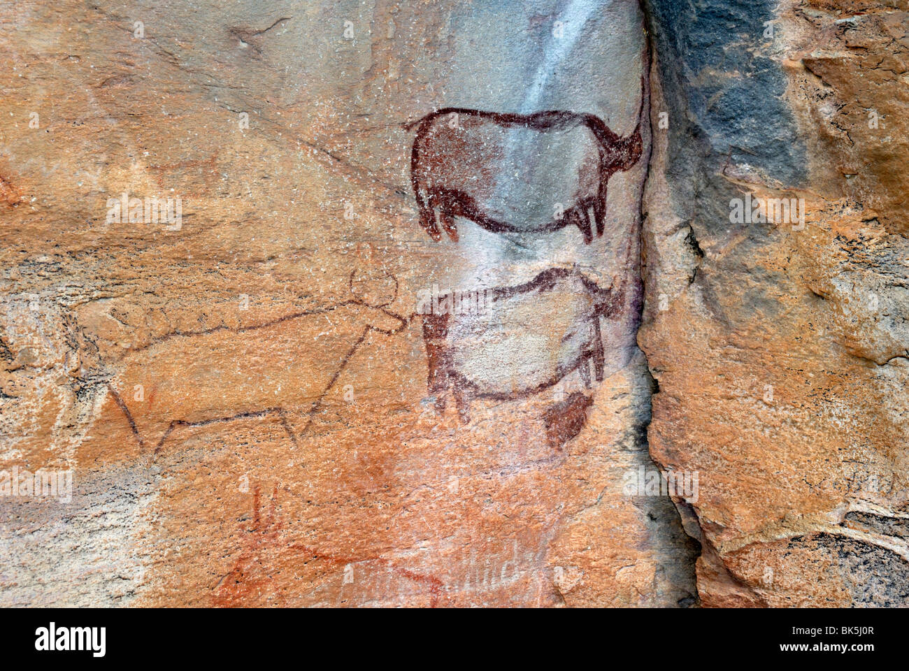Rock paintings approx. 4000 years old, Tsodilo Hills, UNESCO World ...