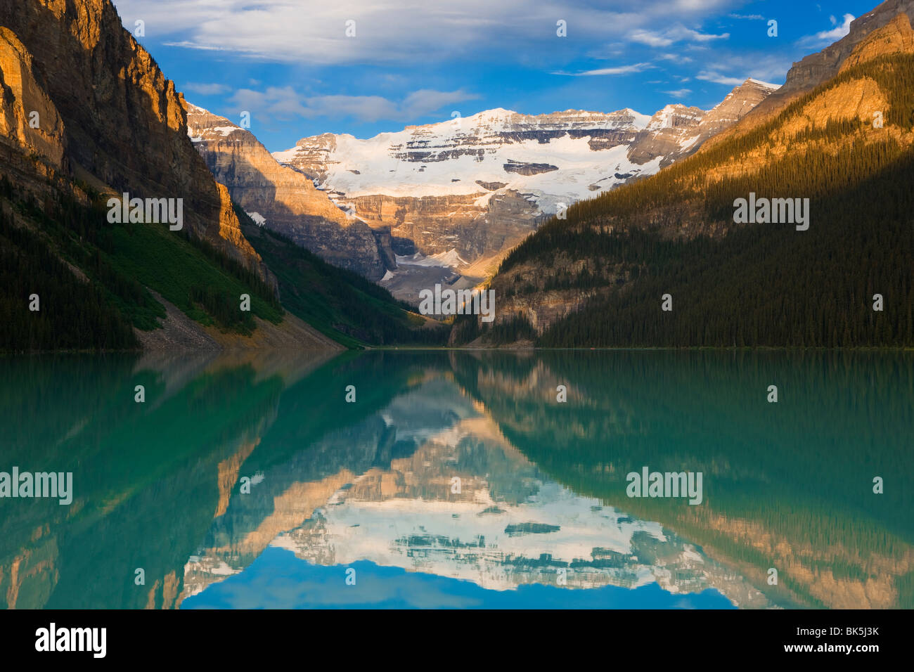Banff national park flowers hi-res stock photography and images - Alamy