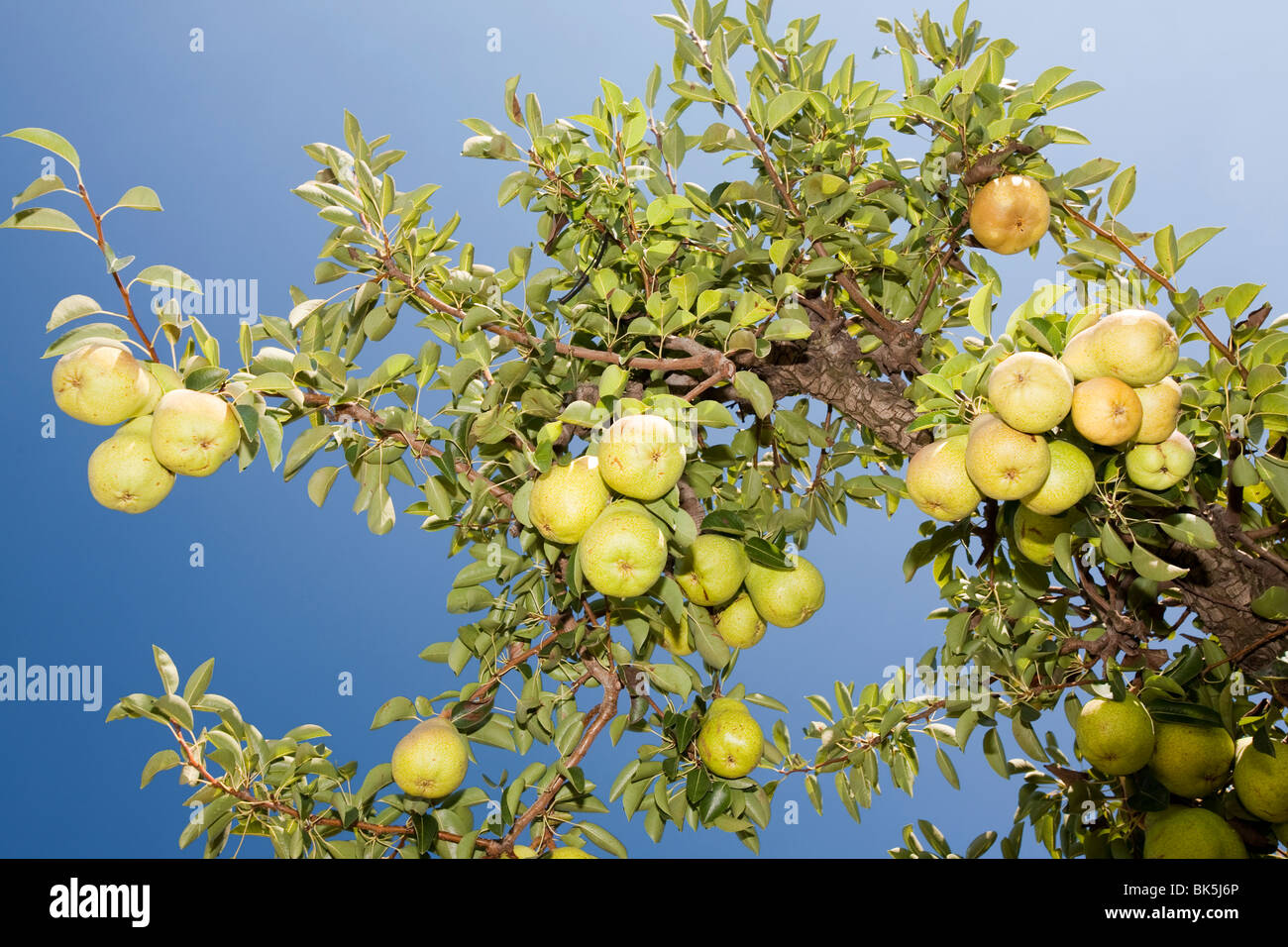 Farmer water australia hi-res stock photography and images - Alamy