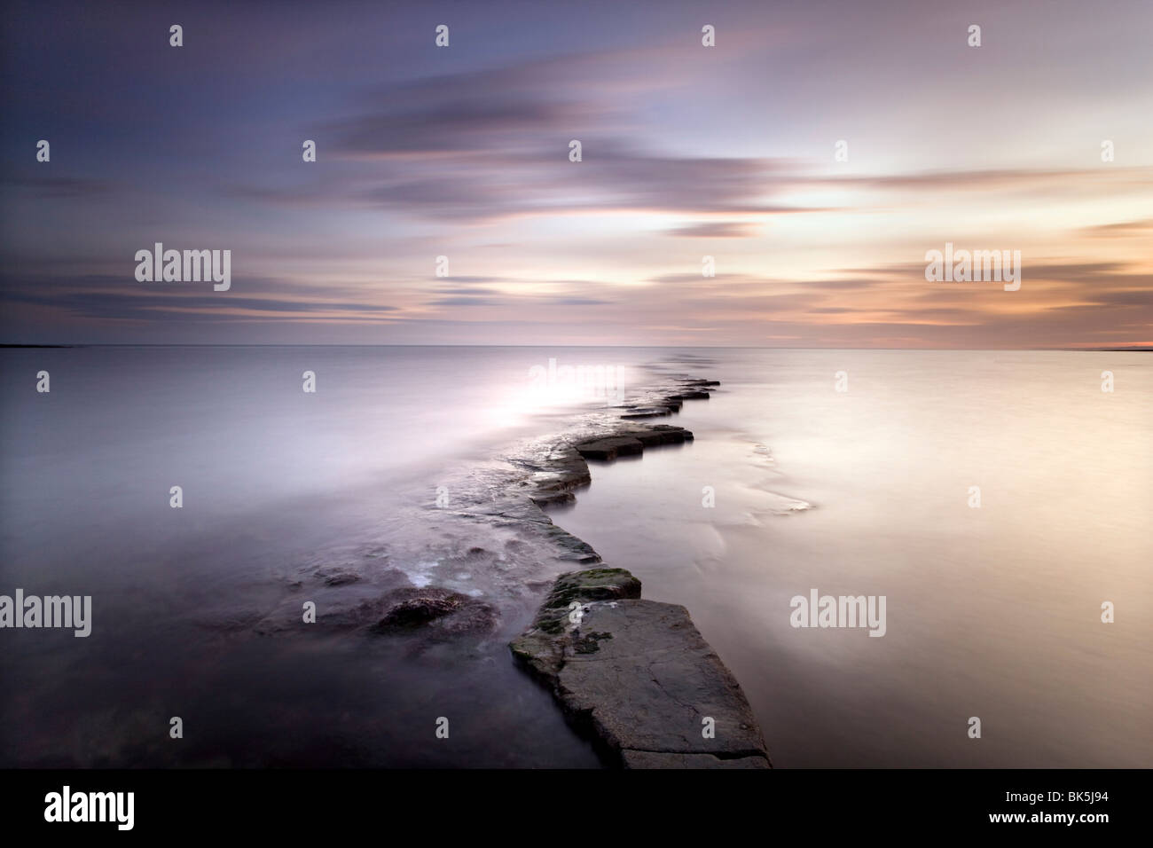 Kimmeridge Bay at dusk showing wave-cut platform known locally as The ...