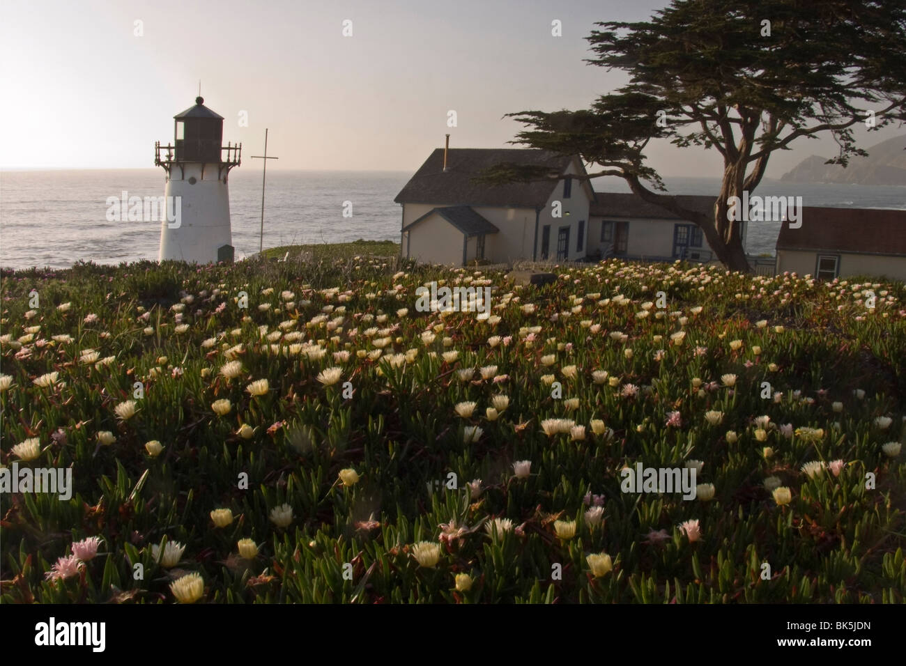 Lighthouse at the coast, Point Montara Lighthouse, Montara, San Mateo ...