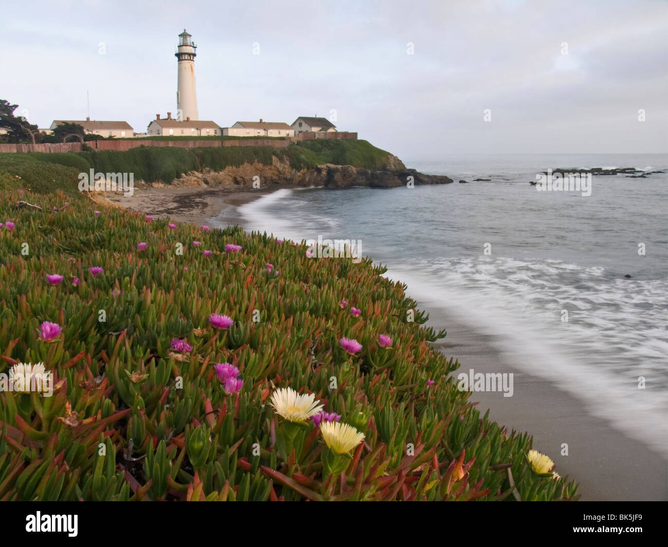 Lighthouse at the coast, Pigeon Point Lighthouse, Pigeon Point Light ...