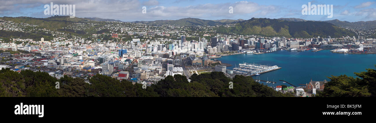 Wellington suburbs hi-res stock photography and images - Alamy