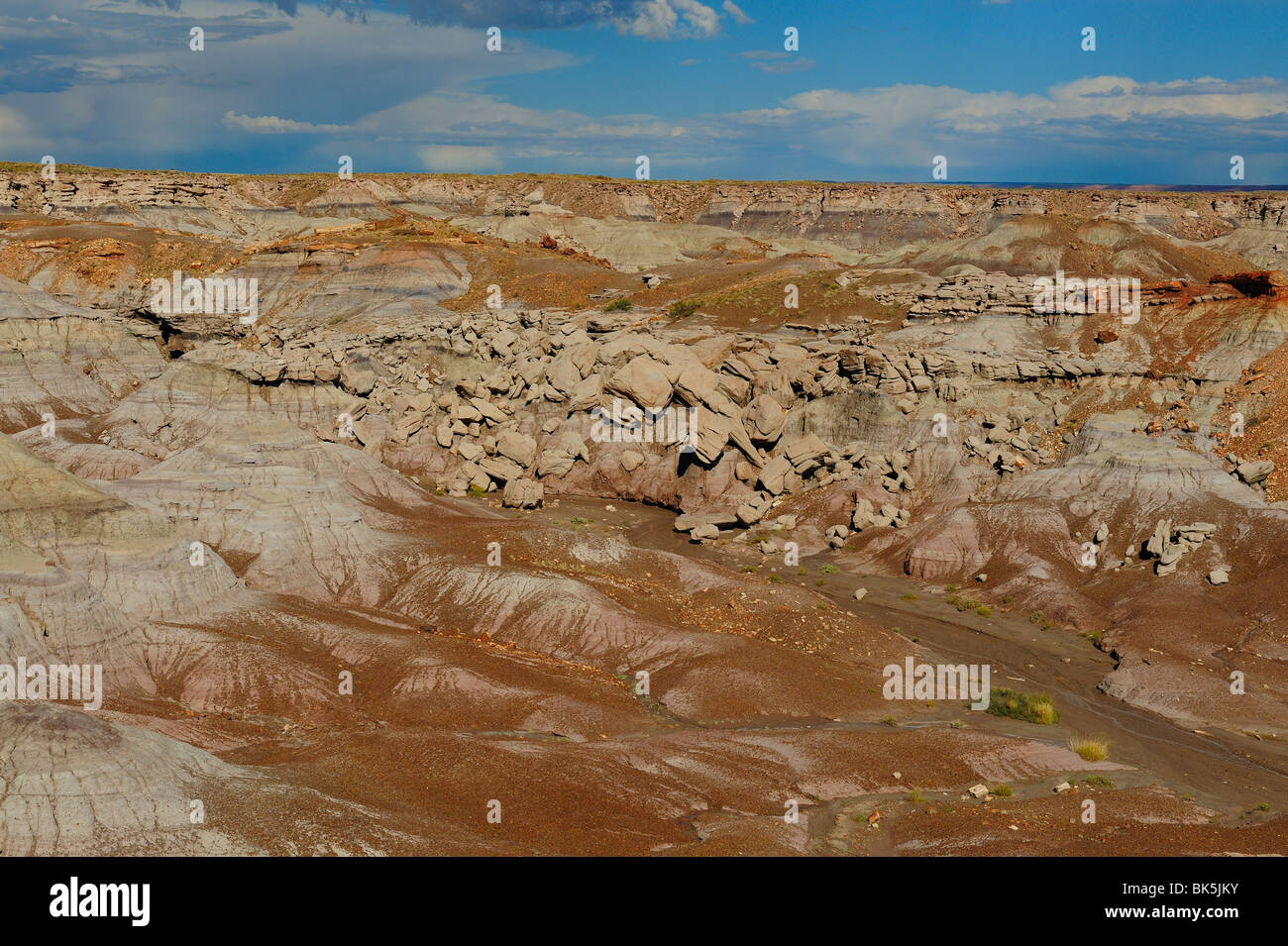 Chinle formation in Petrified Forest National Park, Arizona, USA Stock ...