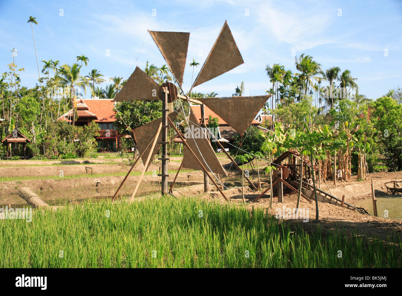 Rice fields with windmill, Thailand, Southeast Asia, Asia Stock Photo ...