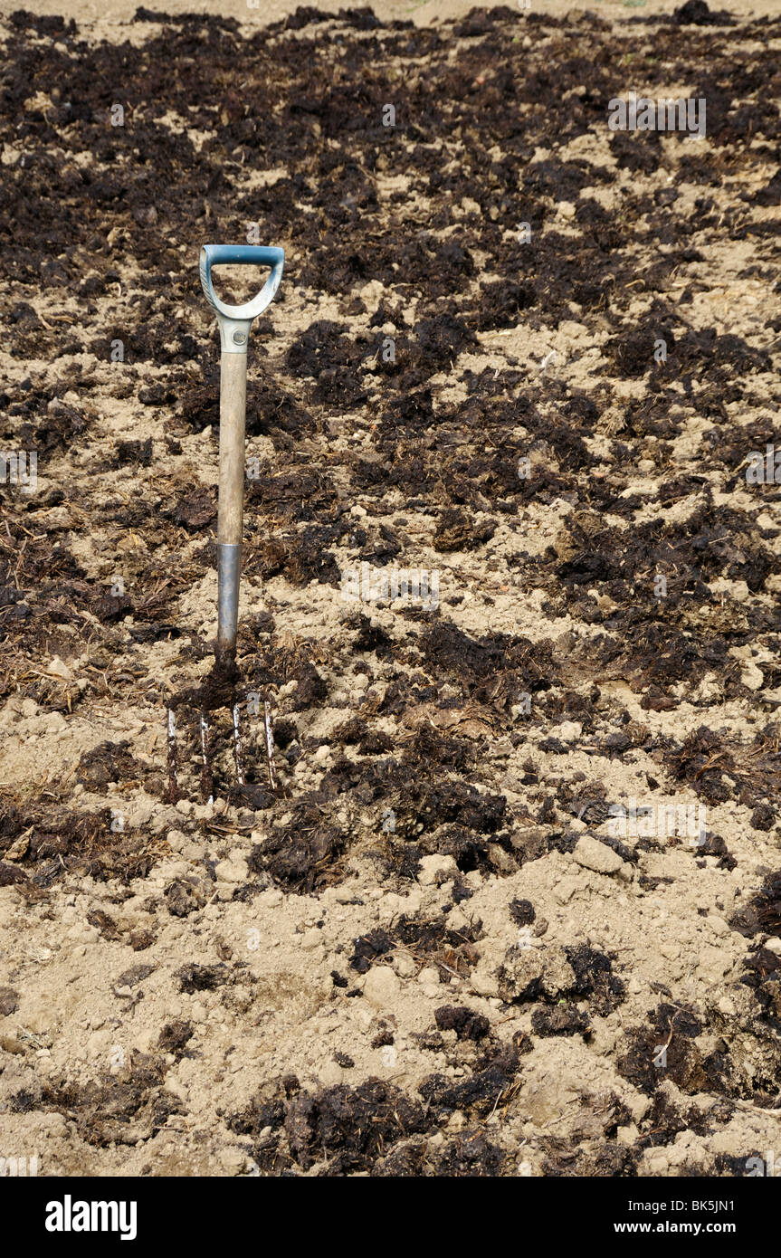 Stock photo of a garden fork in the ground. the soil is spread with ...