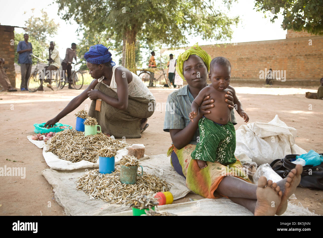 Amuria hi-res stock photography and images - Alamy