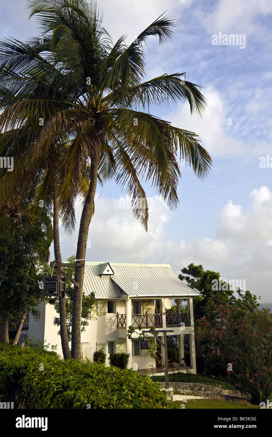 Haiti, Sud Province, Ile a Vache, Port Morgan Stock Photo - Alamy