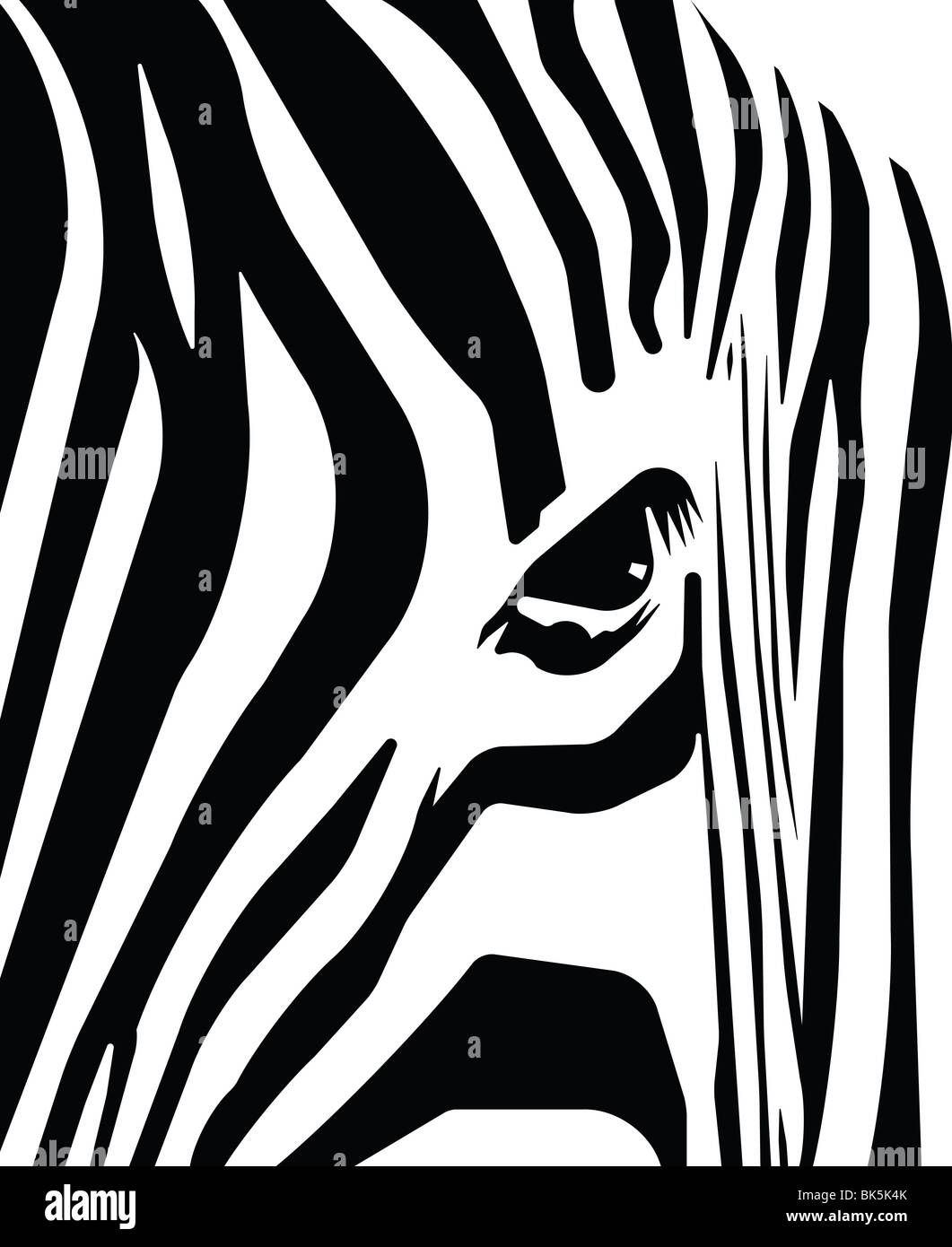 Vector of abstract black and white stripes depicting a zebra Stock ...