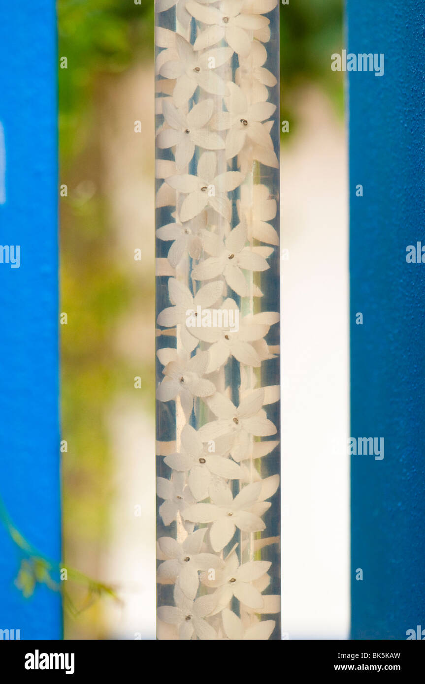 Jasmine flowers in a perspex tube, part of the perfume display in the ...