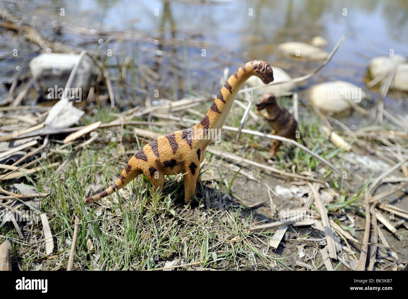 Pre historic earth hi-res stock photography and images - Alamy