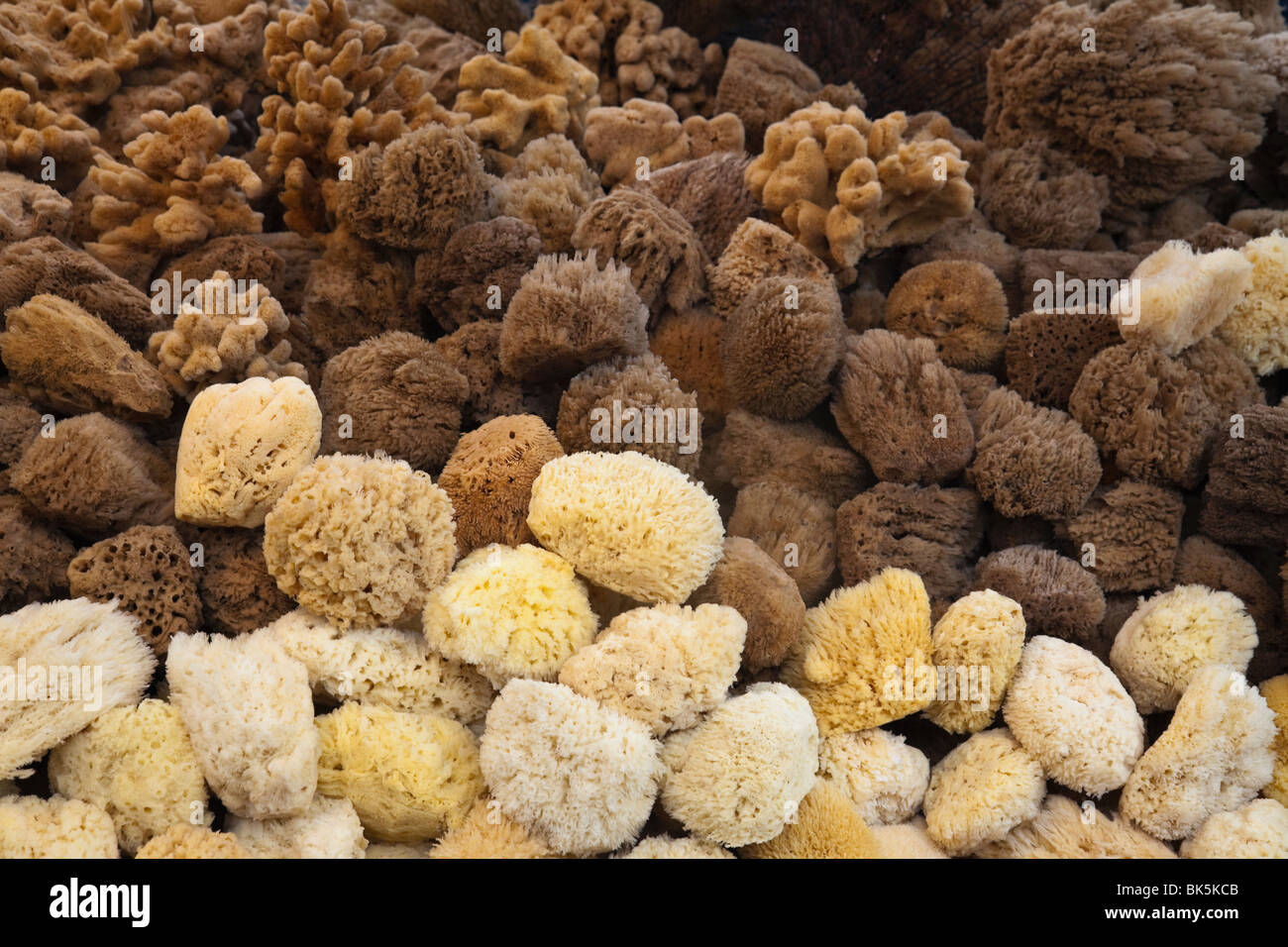 Sponges harvested from the Mediterranean near Rodos on Island of Rhodes ...