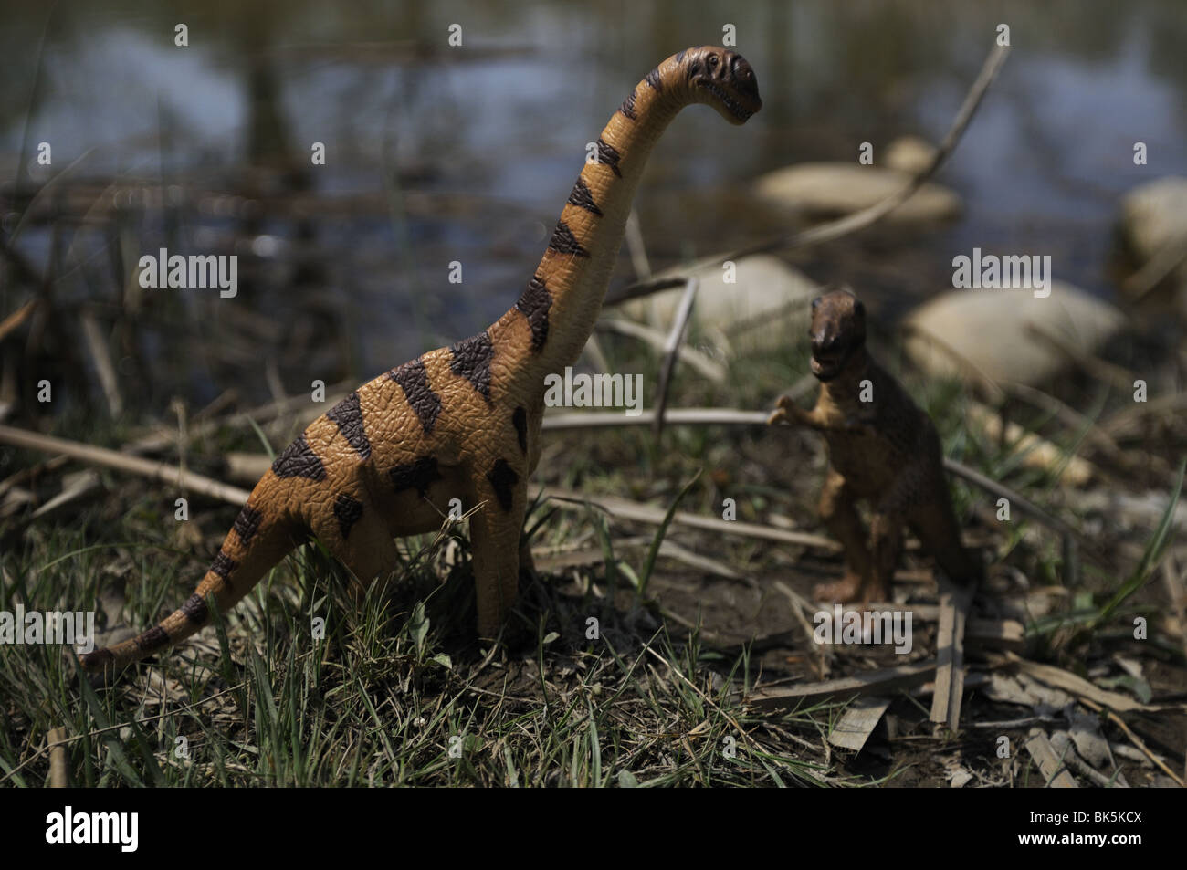 Pre historic earth hi-res stock photography and images - Alamy