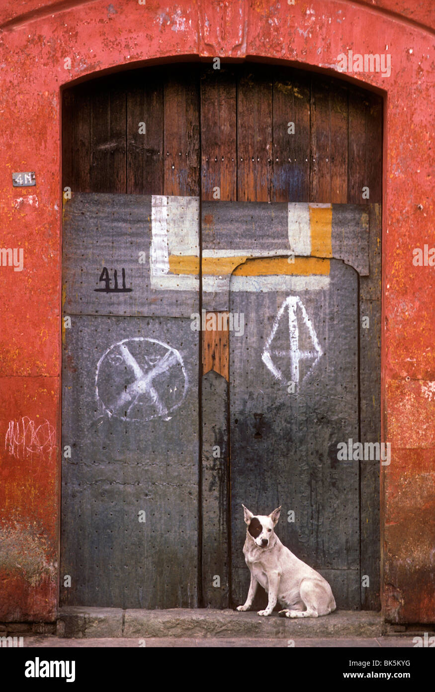 Building and dog hi-res stock photography and images - Alamy