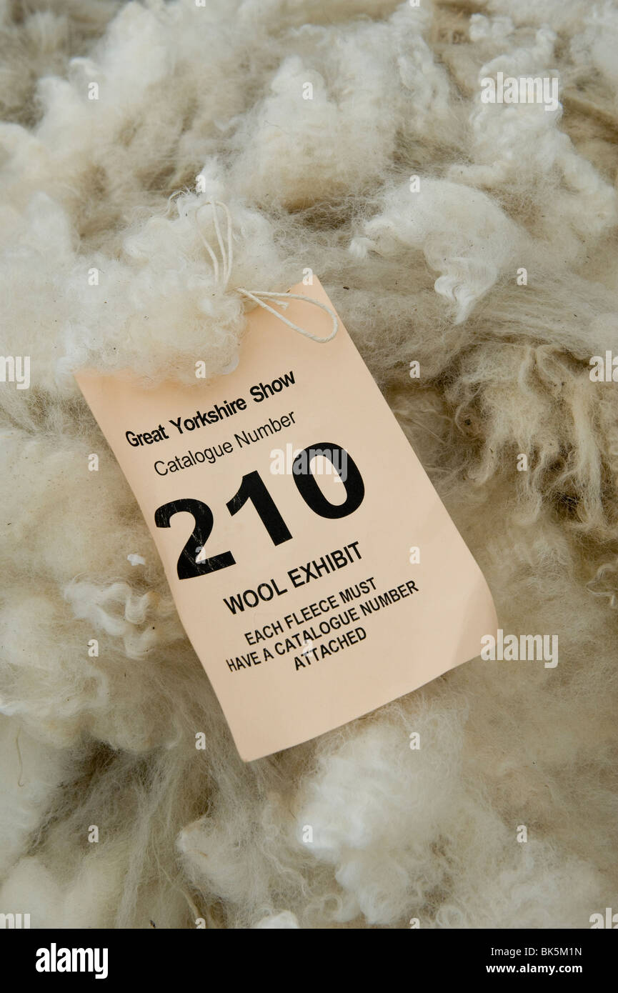 Wool exhibit at the Great Yorkshire Show Stock Photo - Alamy