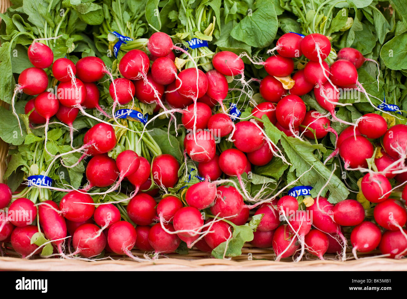 Bunches of radishes at a farmer's market Stock Photo - Alamy