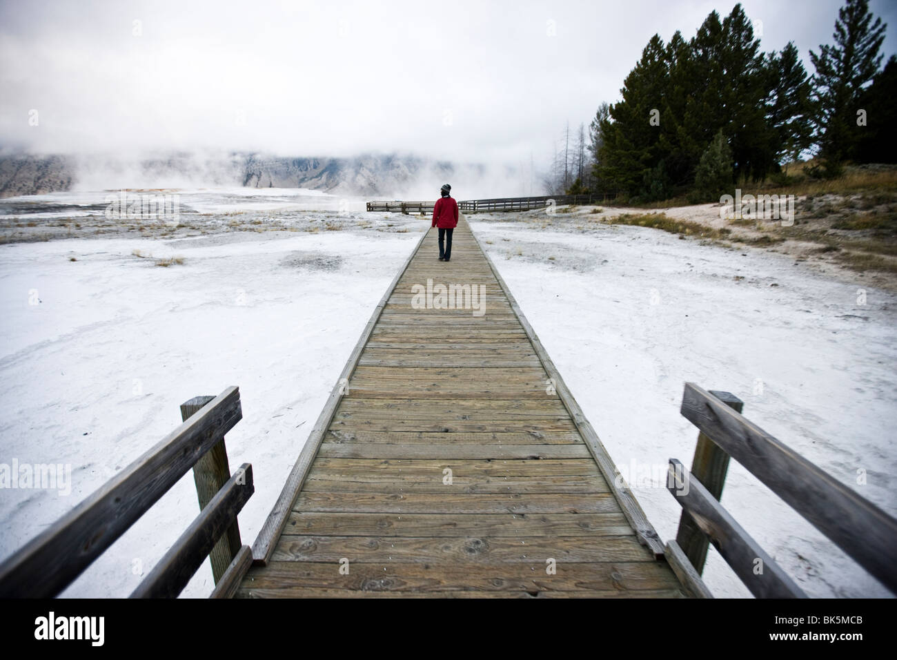 Yellowstone winter boardwalk hi-res stock photography and images - Alamy