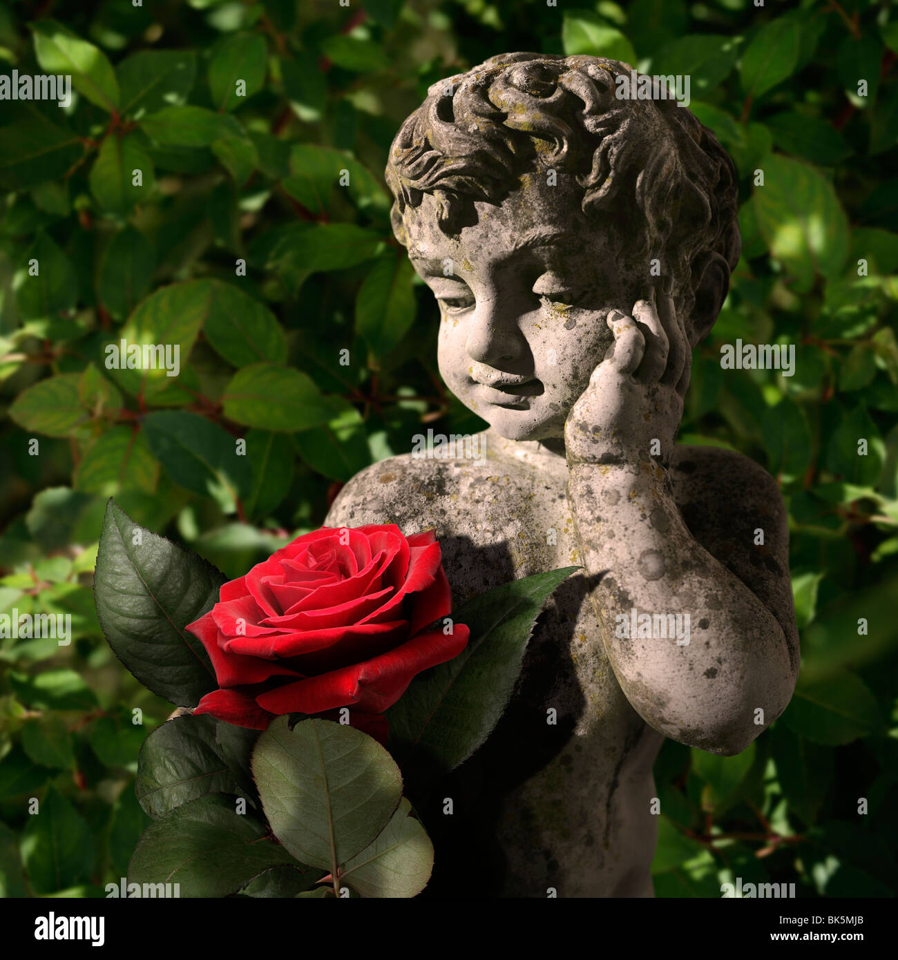 statue of a child in a garden with a red rose Stock Photo - Alamy